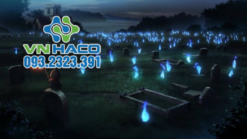 MA TRƠI LÀ GÌ? LÝ GIẢI SỰ THẬT VỀ MA TRƠI - HacoChem - Hóa chất công ...