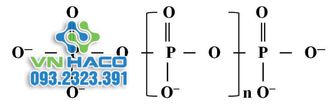 Polyphosphate là gì? Tìm hiểu về hợp chất hóa học đa năng này